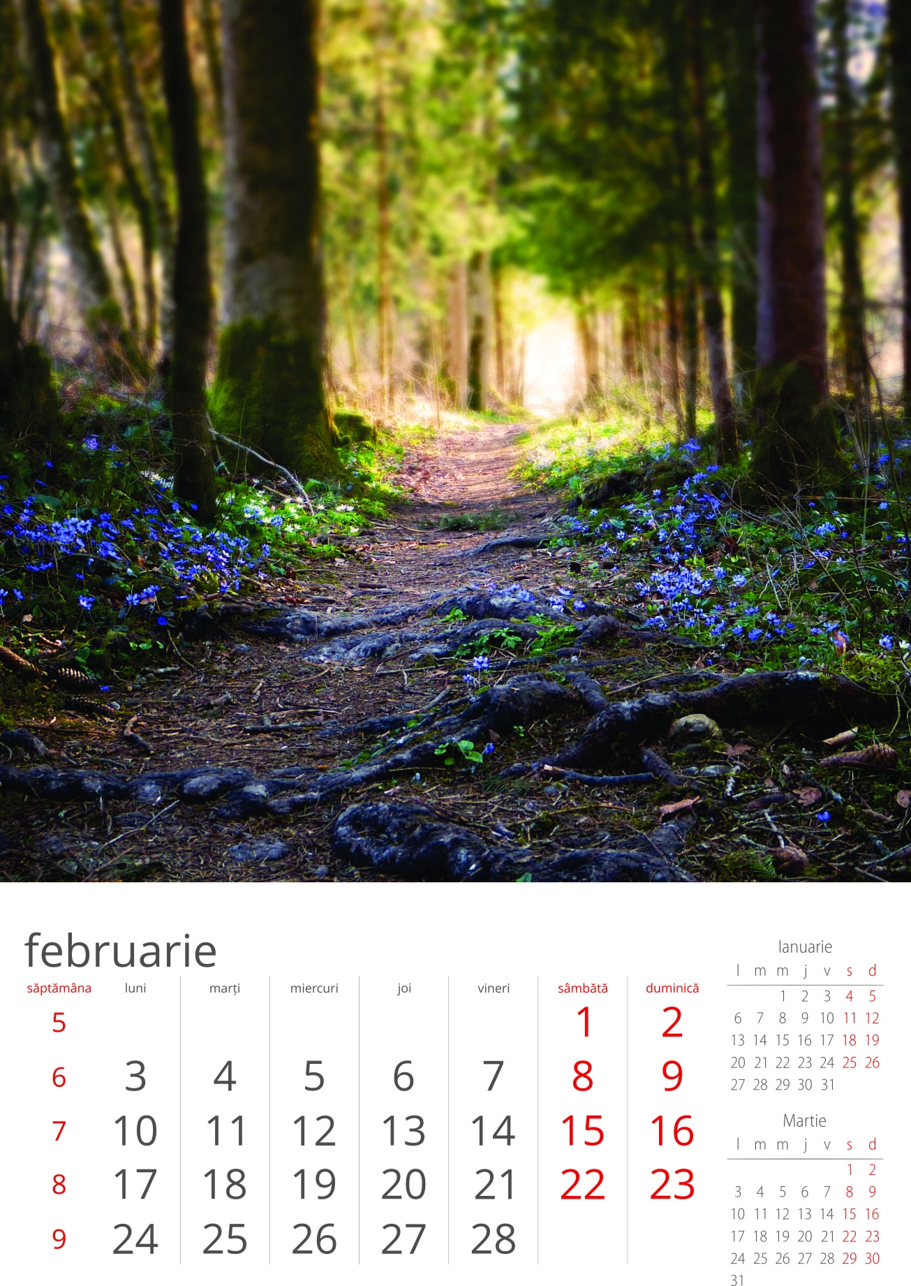 Calendar de perete cu imagini cu peisaje 2025 - Darko Print